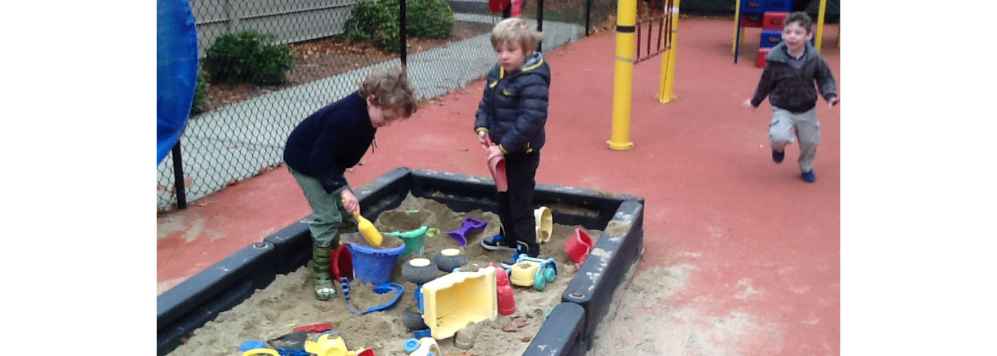 P.A.W.S. Preschool at Wellesley Schools