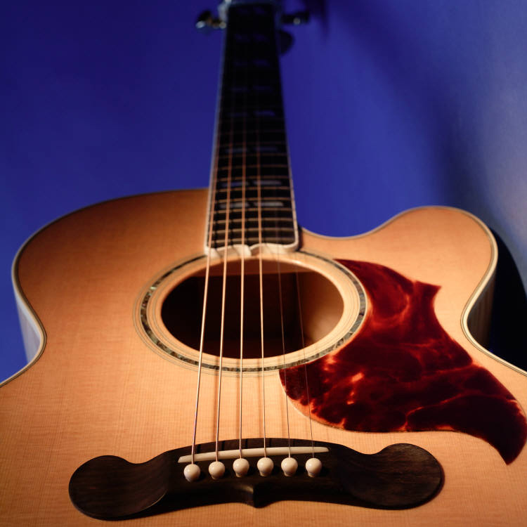 IVEP Instruments & Teachers | Performing Arts Department